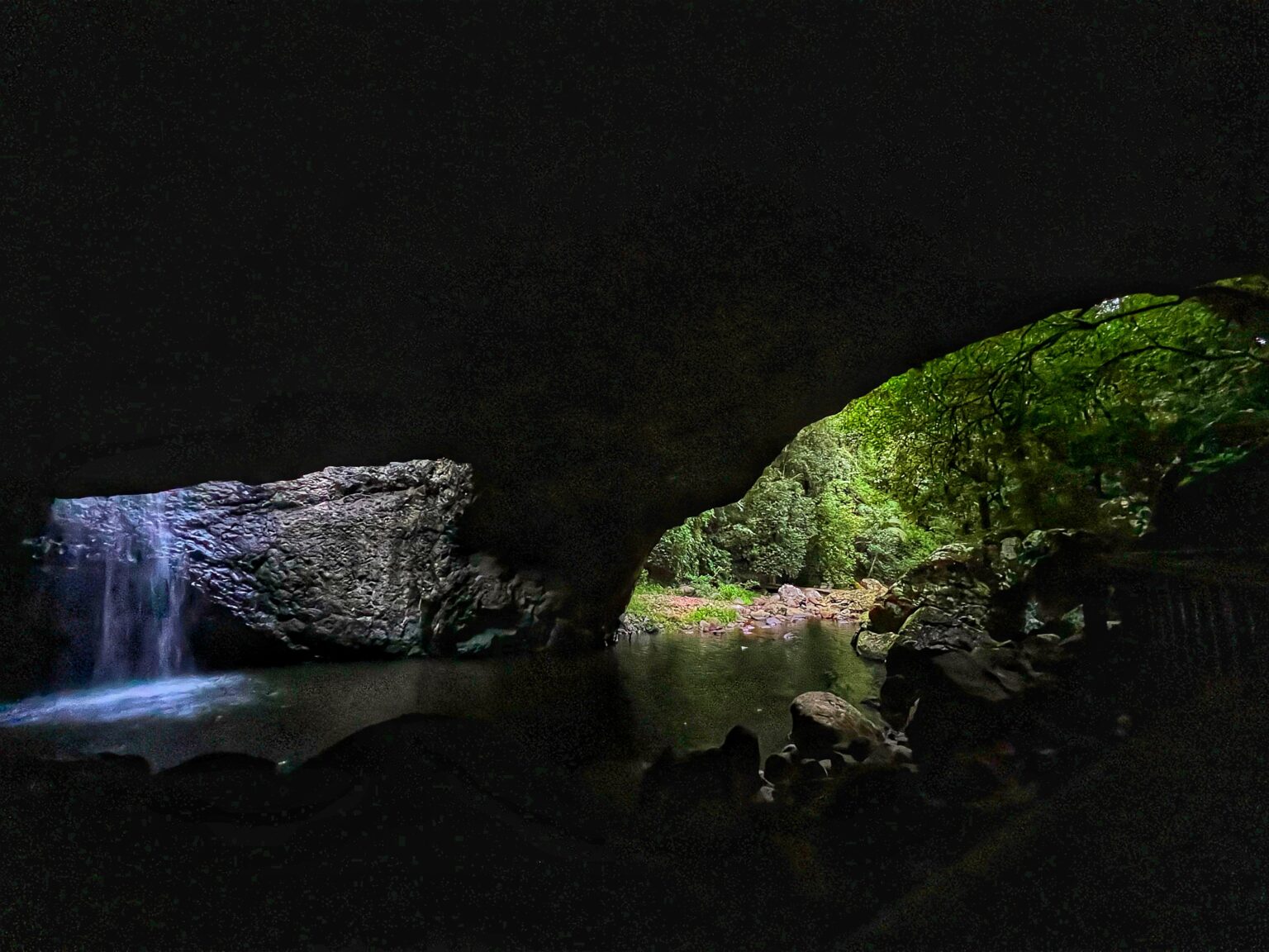 Glow Worms at Natural Bridge, Springbrook: Your Family Guide ...